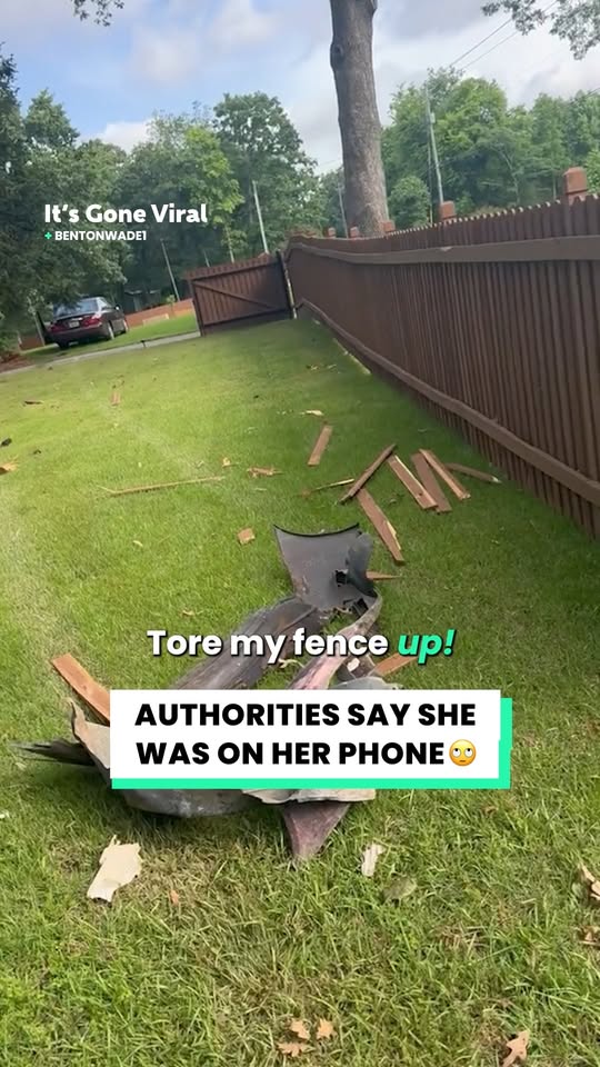 Erratic driver crashes into my yard