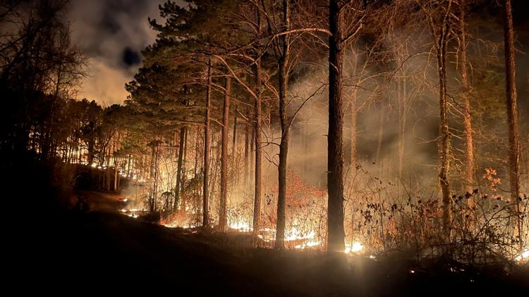 Officials say Johnson County national forest fire was man-made