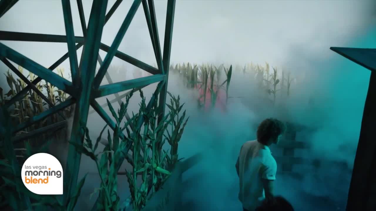 Screams, stars, and spotlights at Universal Horror Unleashed