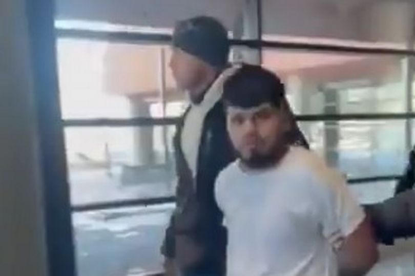 Dozens of ICE agents gather to detain one person in bizarre clip