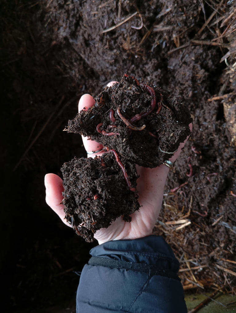 Emiliana es reconocida en los Greens Awards, esta vez por “Iniciativa ...