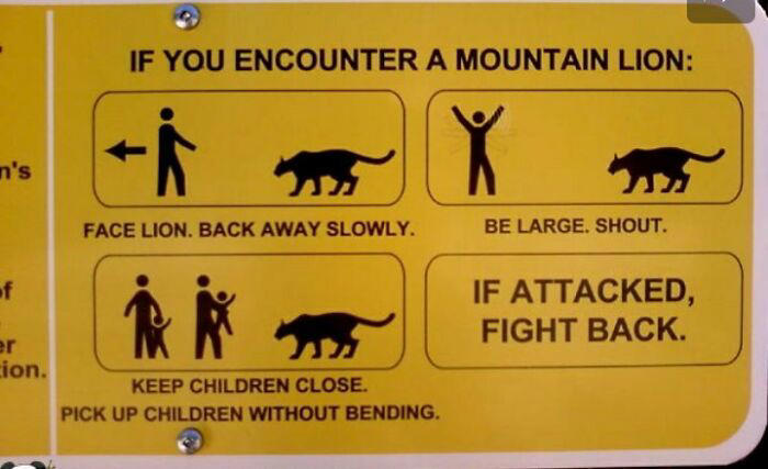 50 hilarious and dumb signs that surprised people with their weirdness