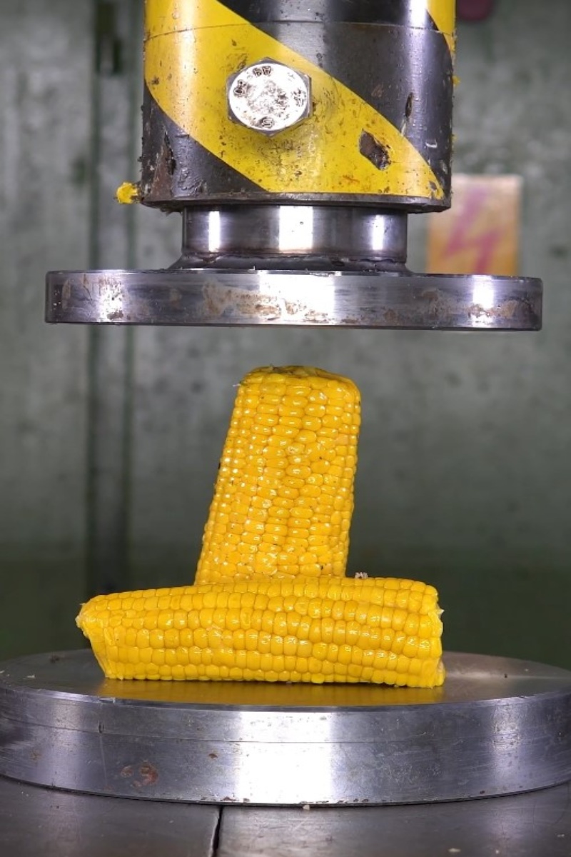 Triturar mazorcas de maíz con una prensa hidráulica