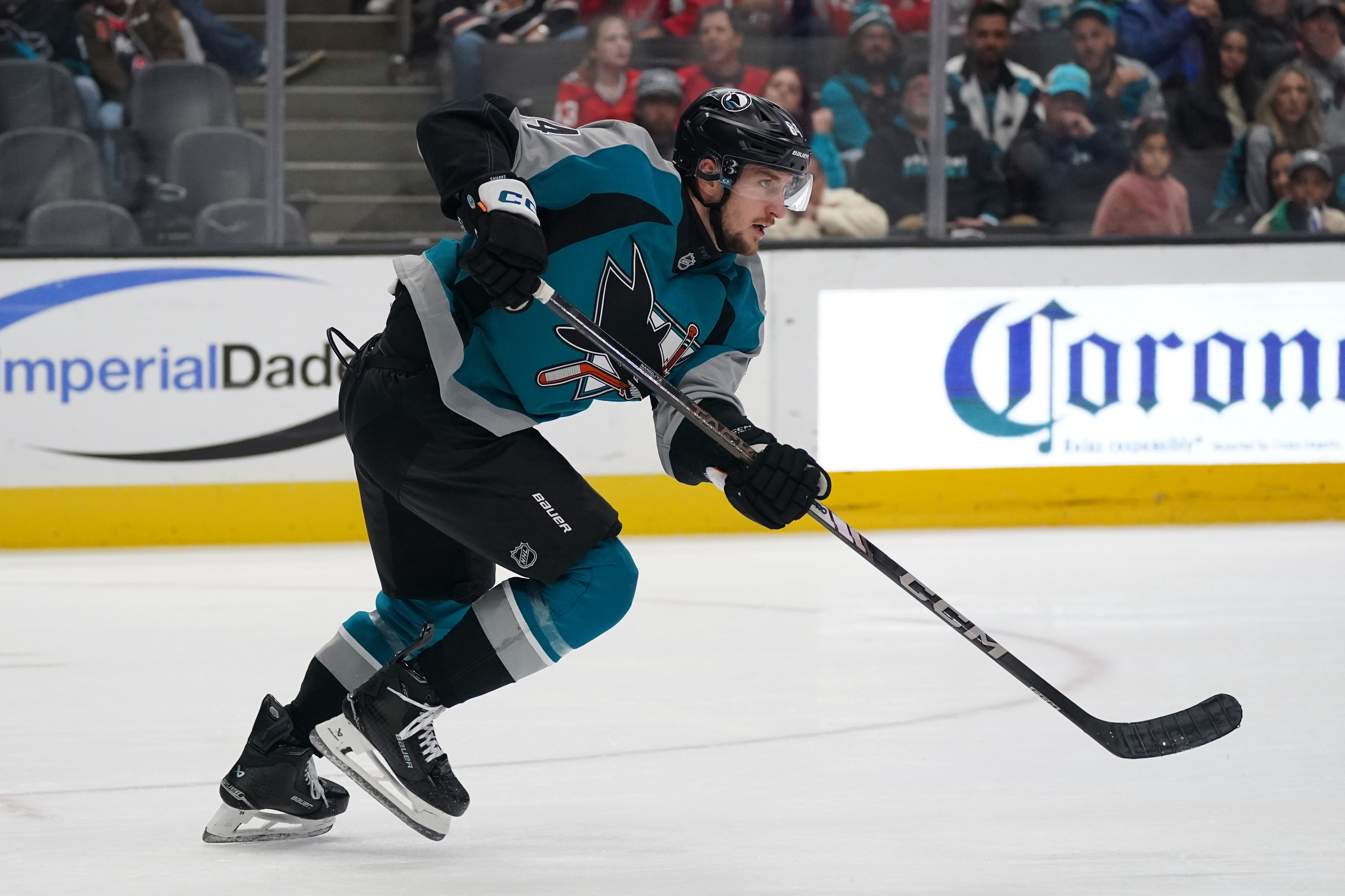 Sharks recall Pavol Regenda