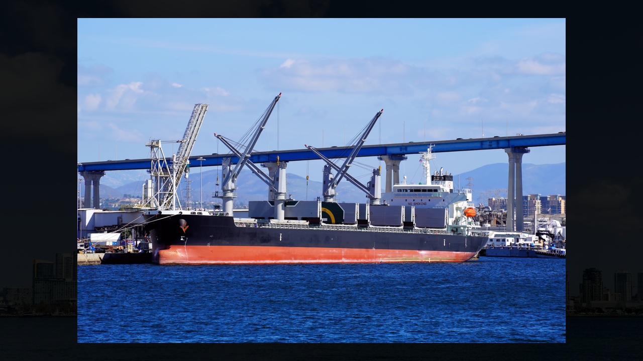 California tells cargo ships to slow down or keep killing whales