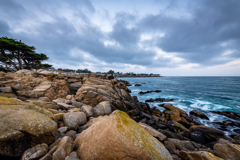 Body of triathlete killed in suspected shark attack recovered ...