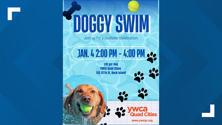 YWCA Quad Cities to host paws-only swim for dogs