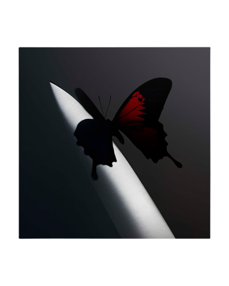 Watch Post Malone fall while attempting backflip