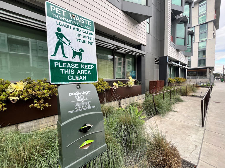 SF man arrested, dog dead in 'extremely disturbing' animal cruelty case