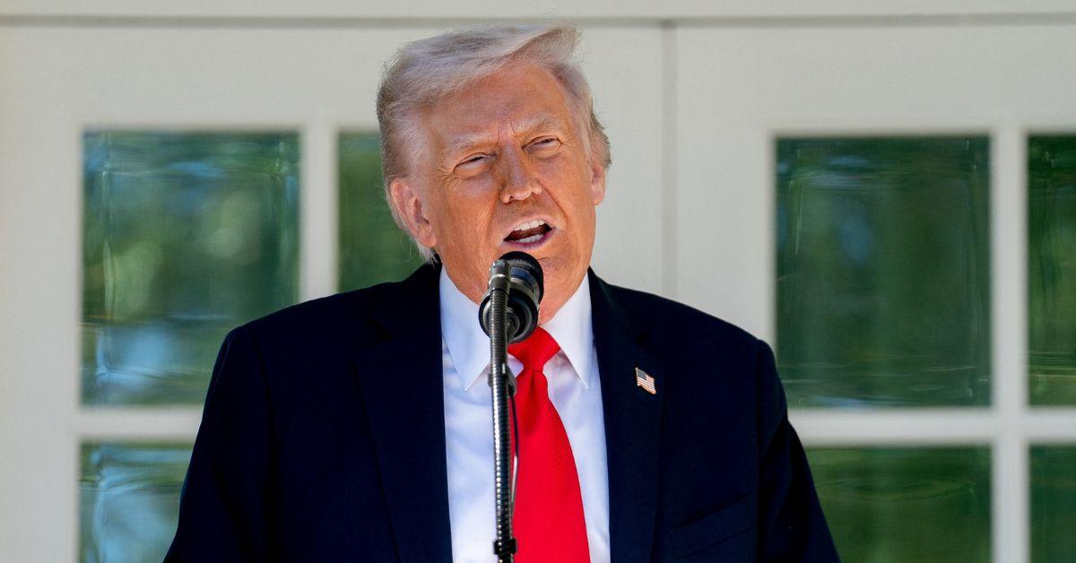 Donald Trump's critics dub him 'dumber than a rock' as he confuses ...