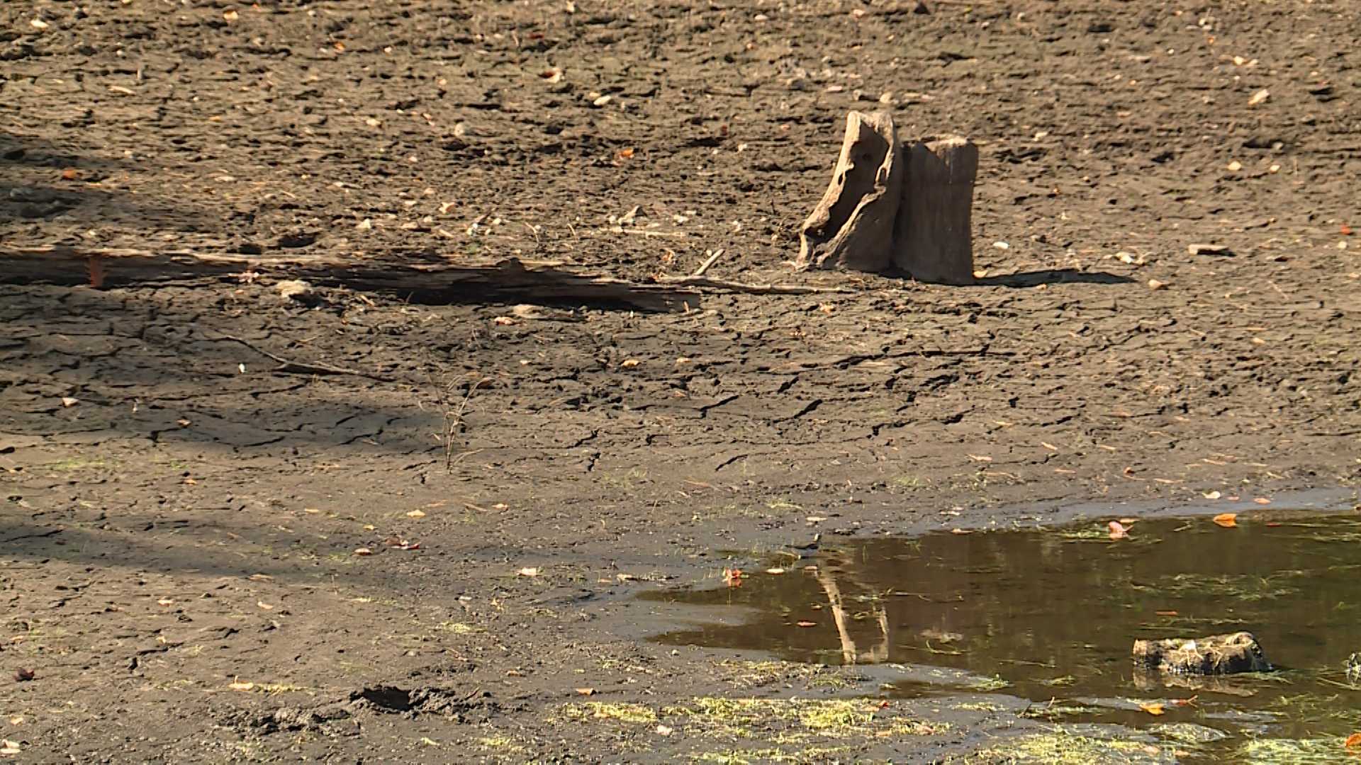 A year of extremes: A look at what the weather brought to Maine in 2025