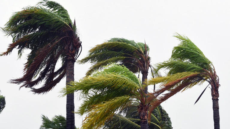 Tropical cyclone weakens but damaging winds continue