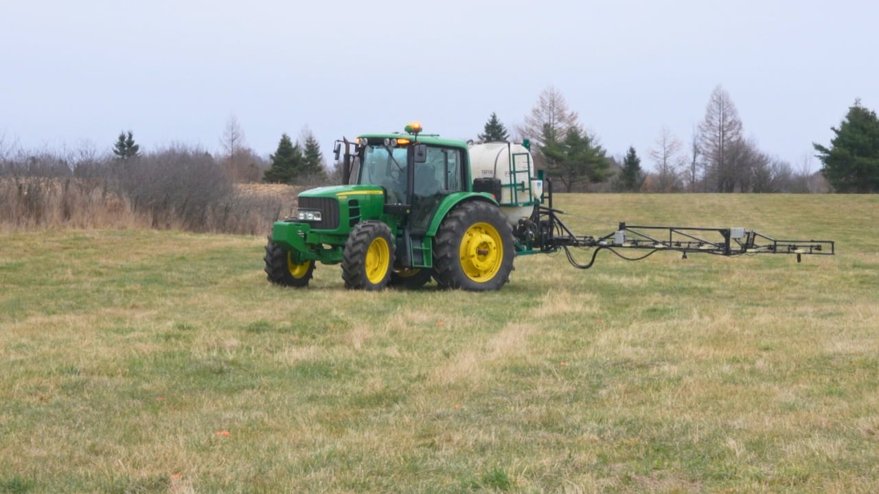 AI playing a role in digital solutions to sustain crops