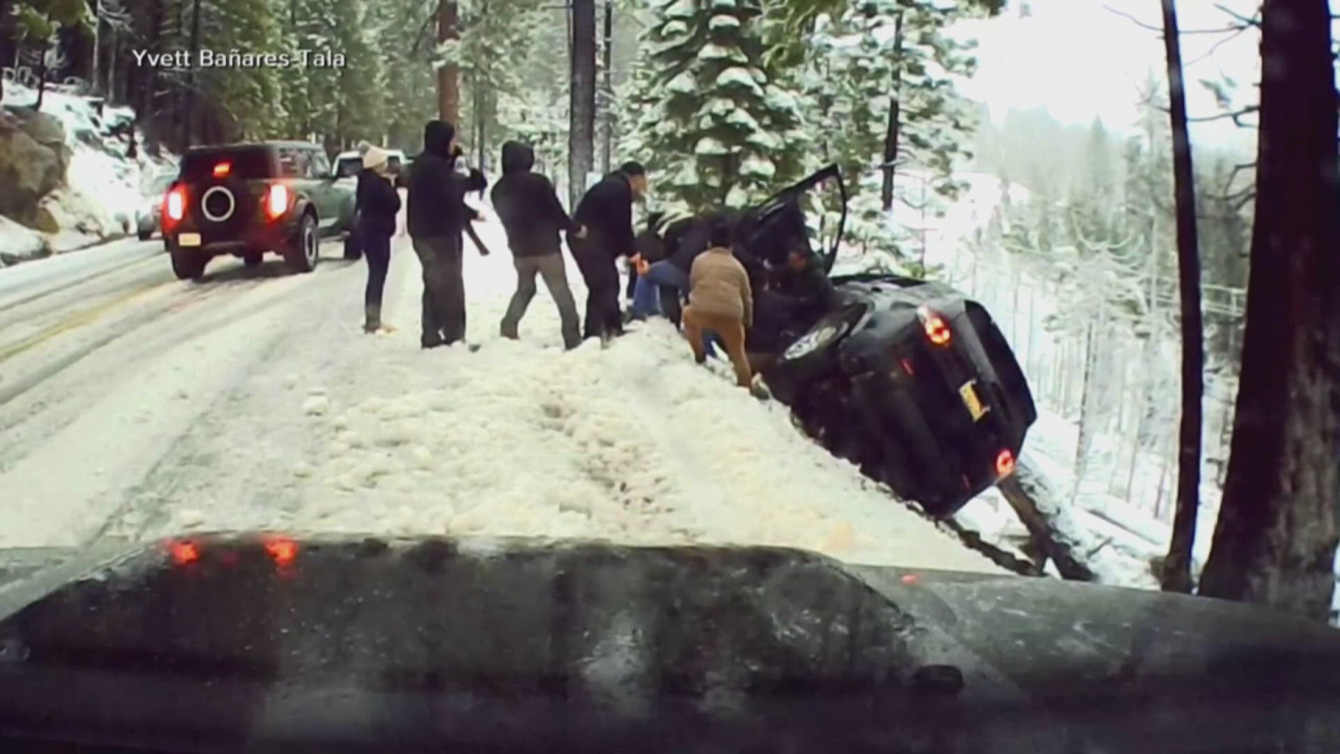 Good Samaritans form human chain to save driver, animals after crash