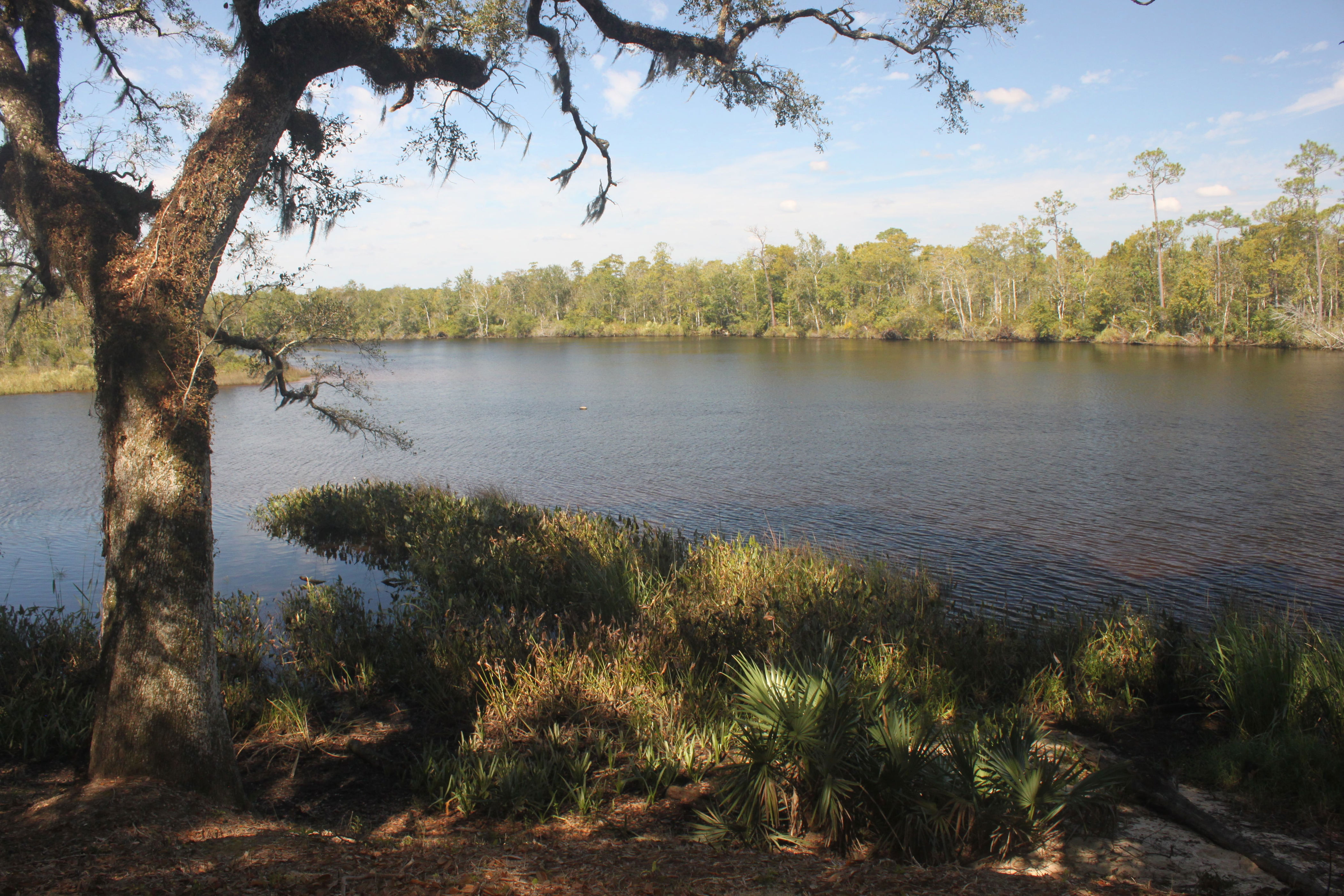 3 South Mississippi locations added to National Register of Historic ...