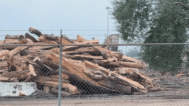 Shasta facility turns Christmas trees into clean energy