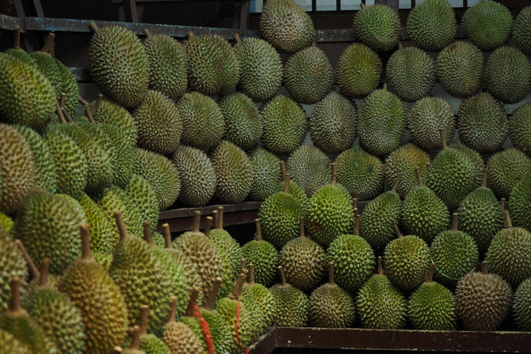Singapore man calls police after stall refuses to refund $3.9 durian