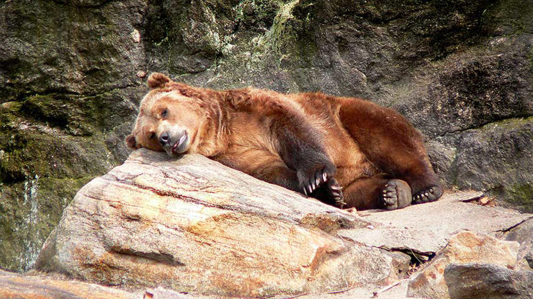 Stock market today: Dow ends lower after Fed minutes; two biotech names ...