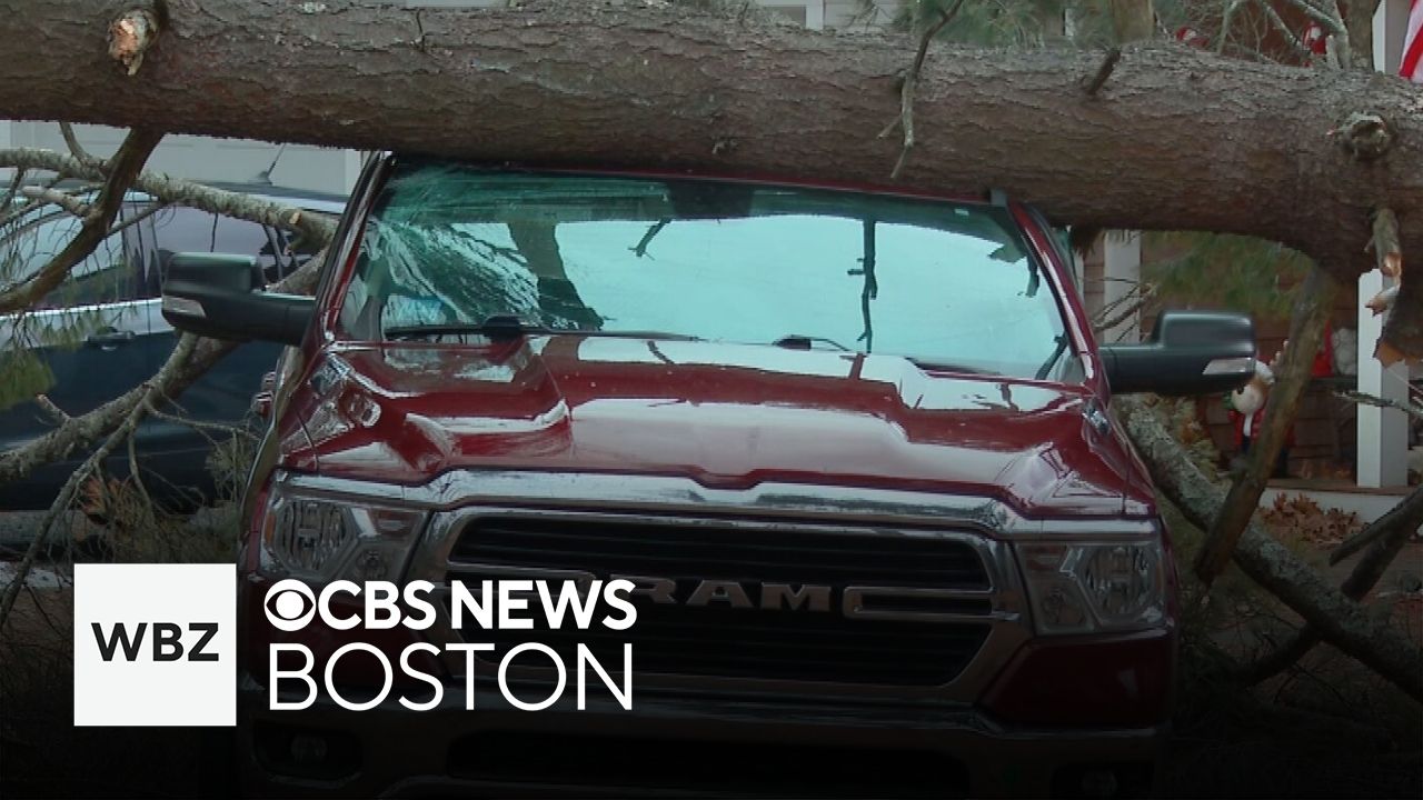 Wind brings down trees, causing damage at Massachusetts homes
