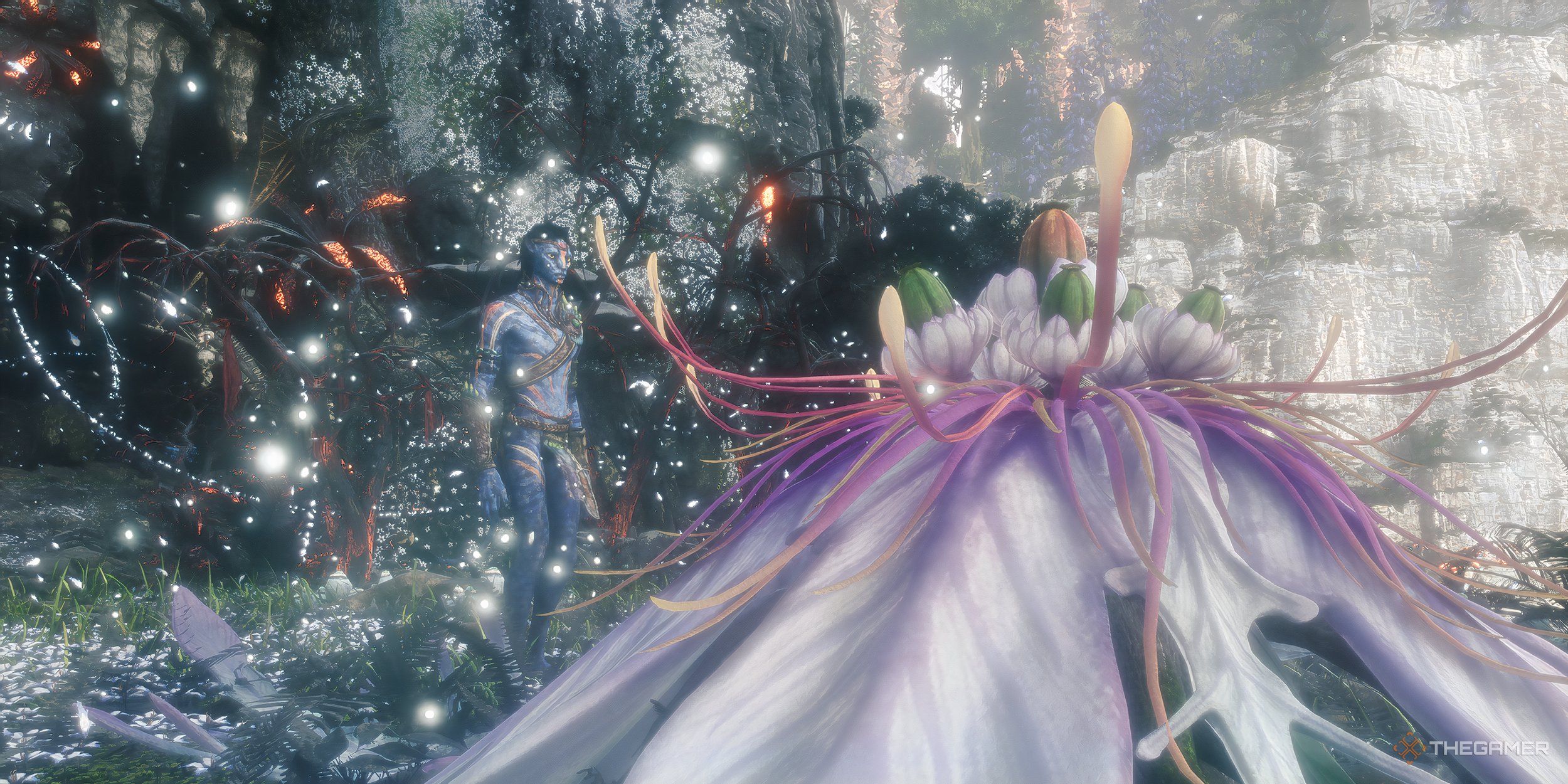 How to get the Eywa's blessing trophy/achievement