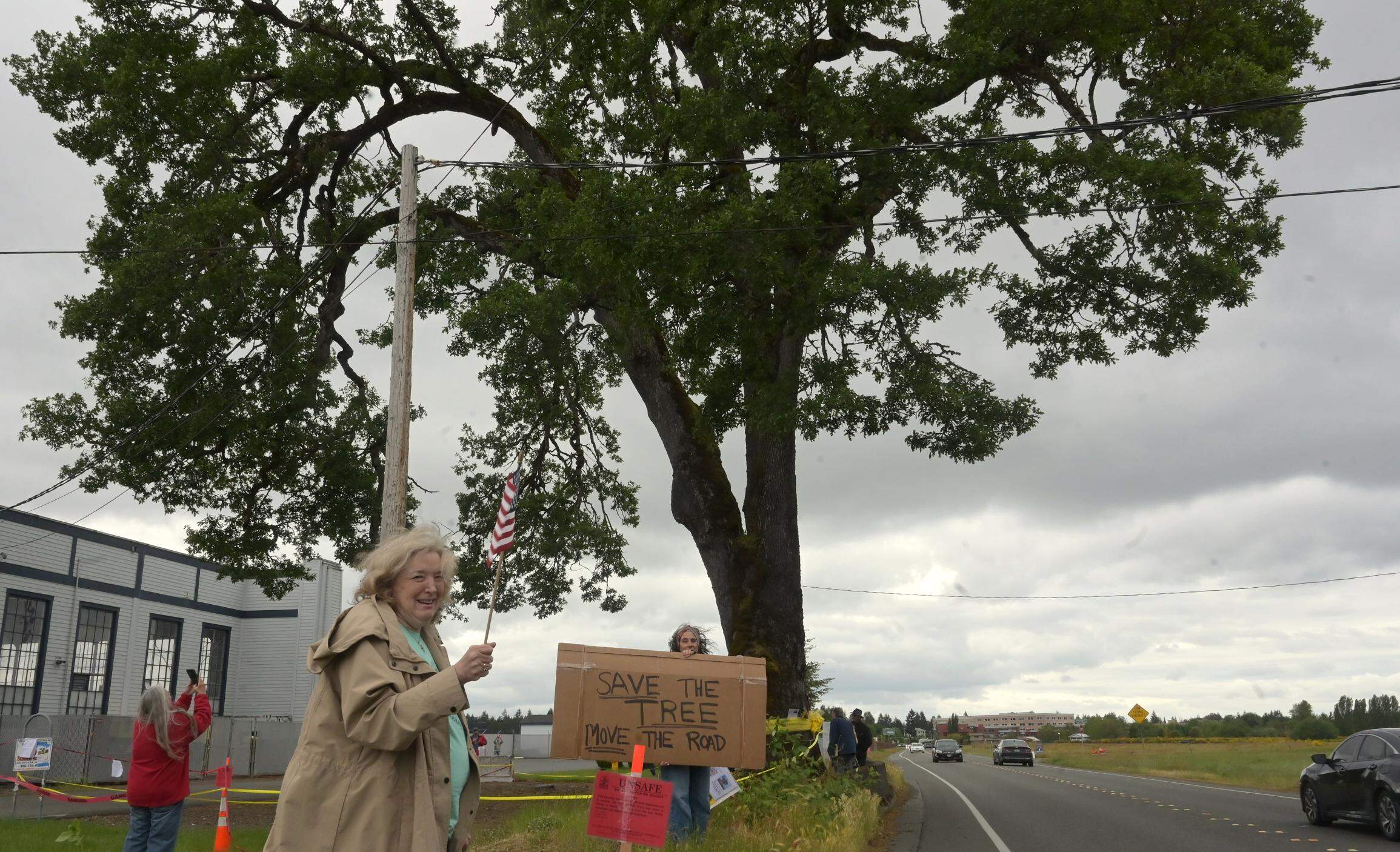 Can city cut down beloved 400-year-old tree? Thurston County judge rules