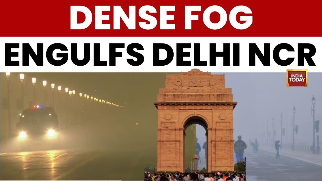 Delhi weather update: Dense fog and severe AQI disrupt travel; airport ...