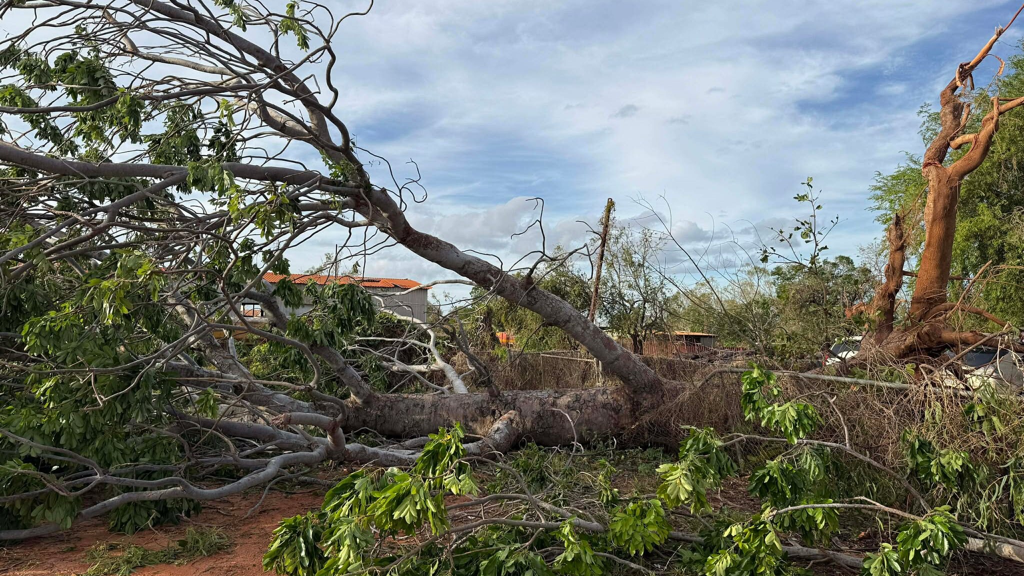 Kimberley homes lose roofs as emergency services respond to ex-Tropical ...