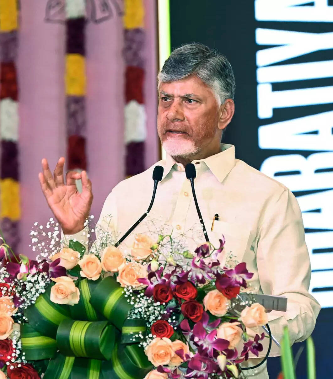 Andhra Pradesh in 2025: Capital dreams, Maoist hunt, spate of deadly ...
