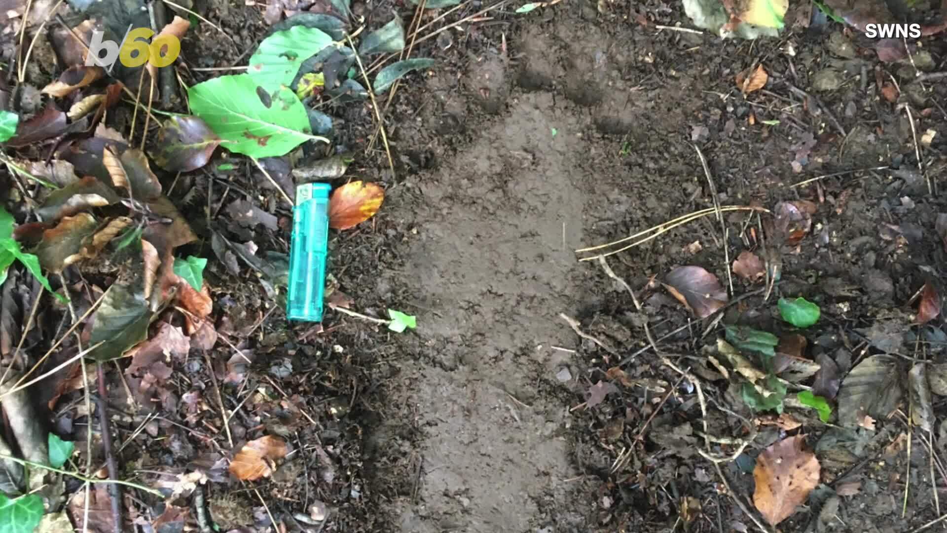 Giant, mysterious footprints unearthed in England — could they belong ...