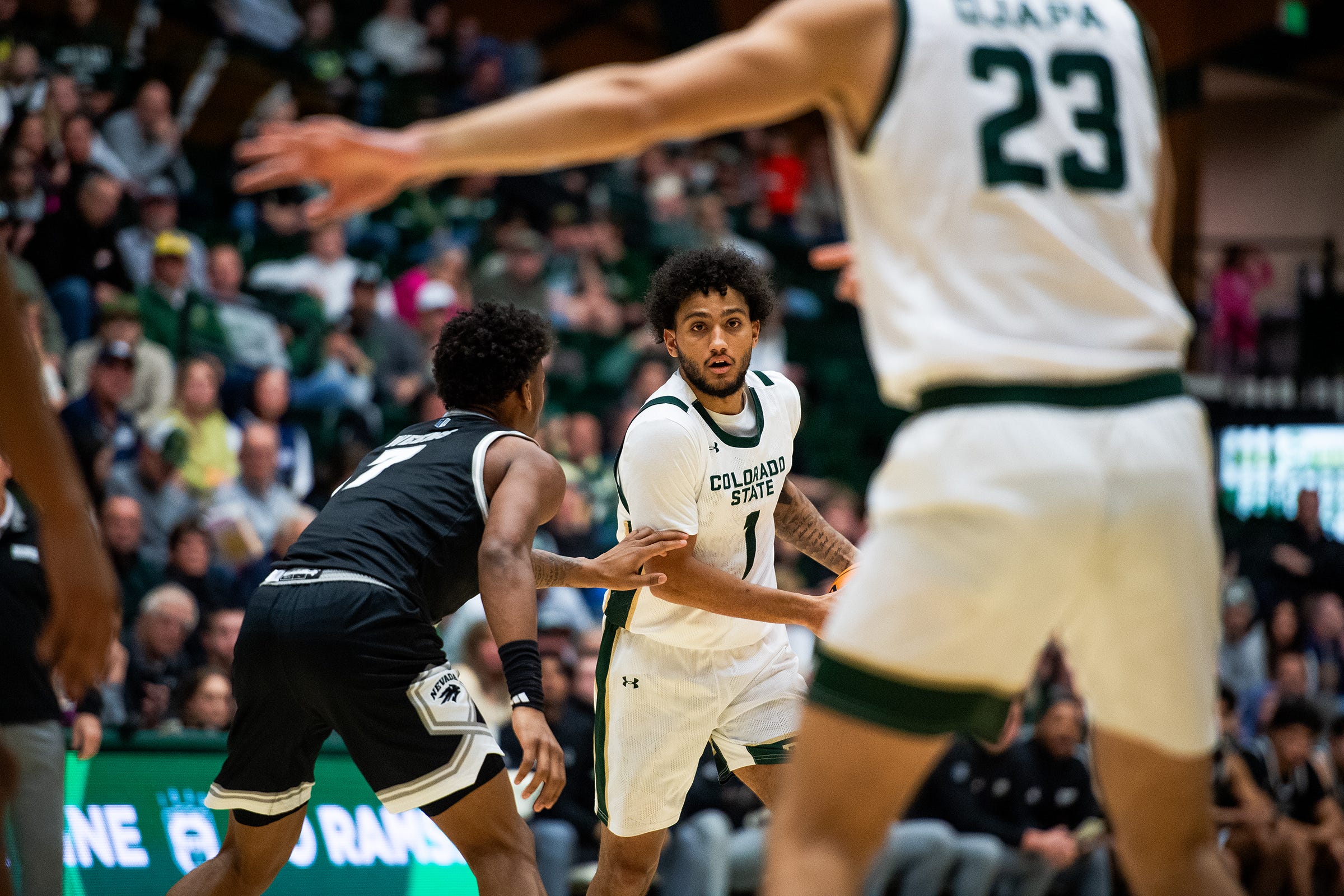 Where to watch CSU vs New Mexico basketball: TV, streaming, time