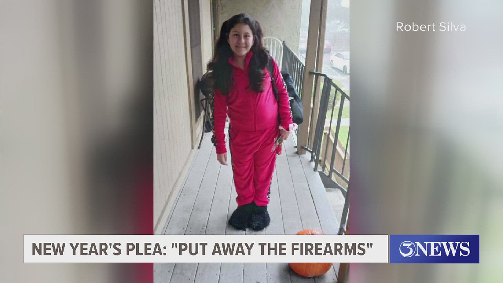 New Year's plea: 'Put away the firearms'