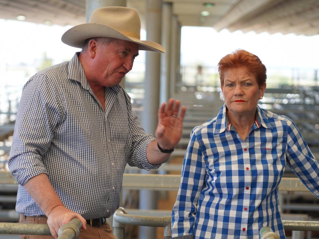 One Nation surge amazes Aussie politics