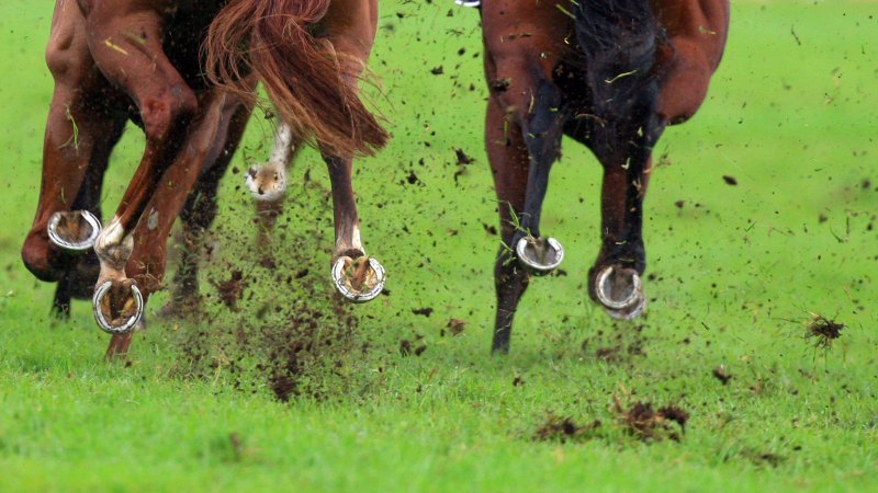 Son of trapeze artist faces toughest test in Canterbury Sprint