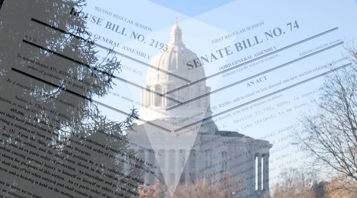 Red flags, Second Amendment rights and more: Firearms are one of the ...