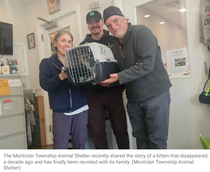 Strange and unusual stories in Essex County: 2025 news roundup