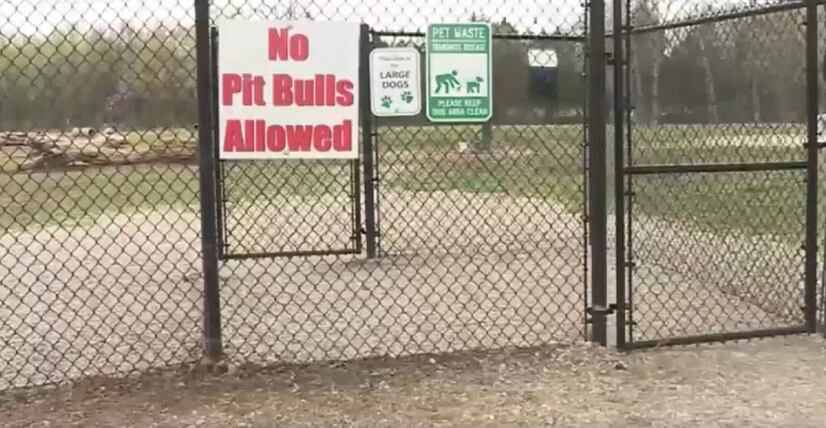Feb. 24 special election set for Salina voters to decide on pit bull ban