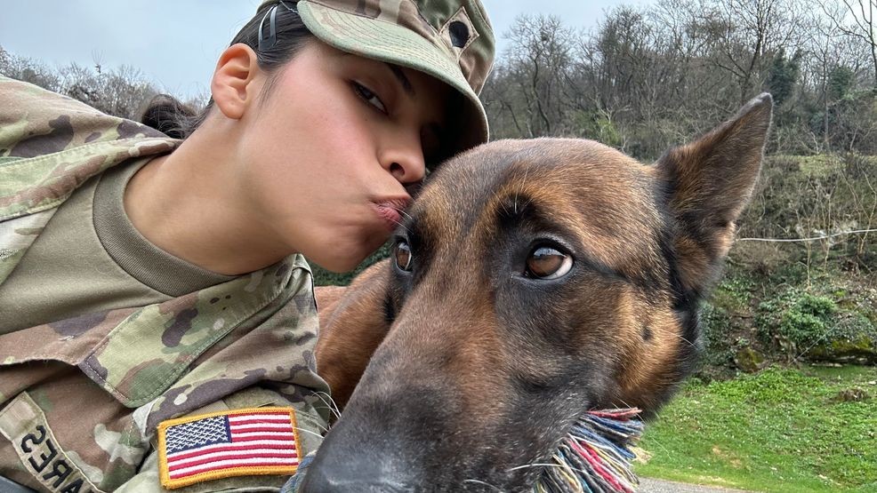 Watch: Military dog finds home with handler in holiday reunion
