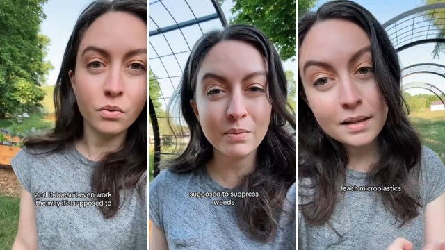 Homeowner warns TikTok followers after finding 'nightmare' buried in ...