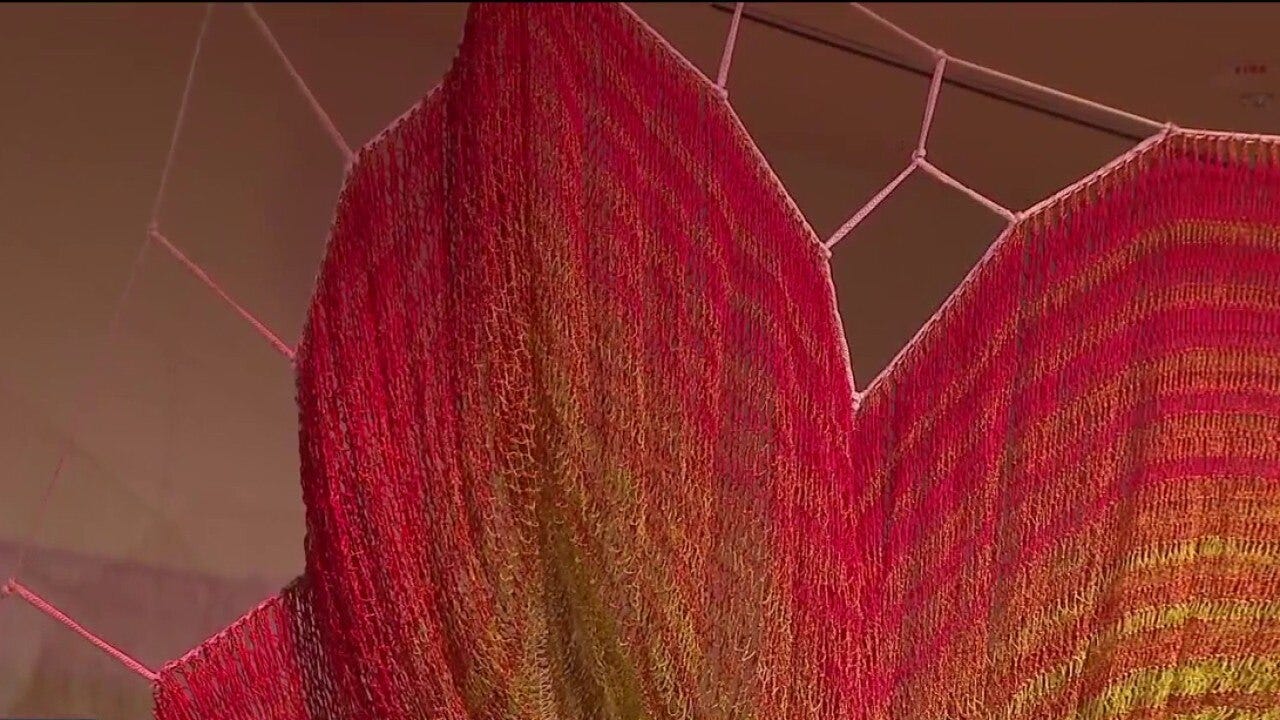 'Radical softness' at Sarasota Art Museum