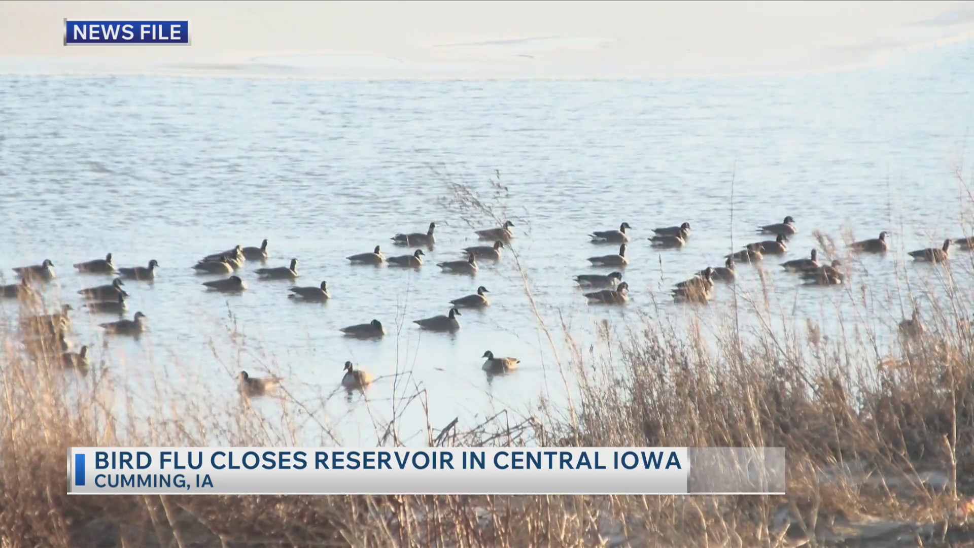 Bird flu closes reservoir in central Iowa