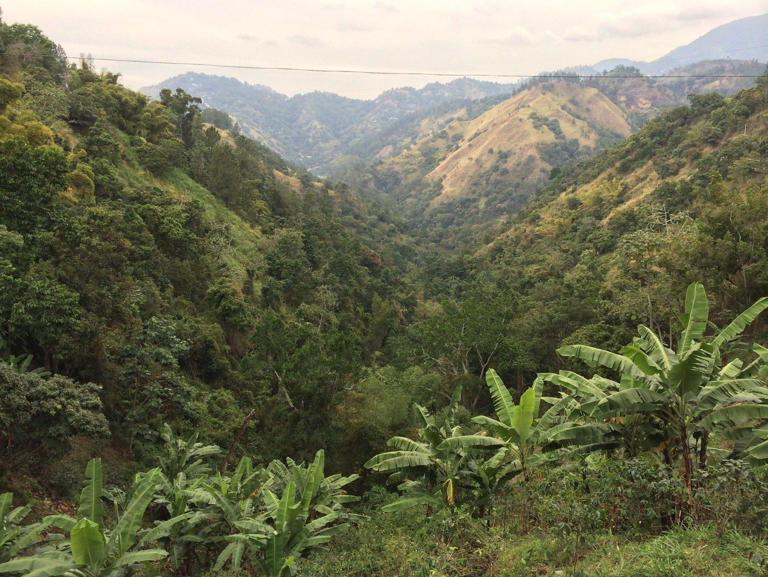 Forget the beach—this is the Jamaica you’ve been missing