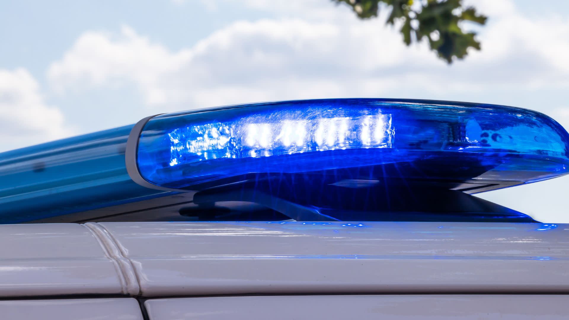 Florida murder-suicide survivor speaks out: 'I begged him, don't shoot me'