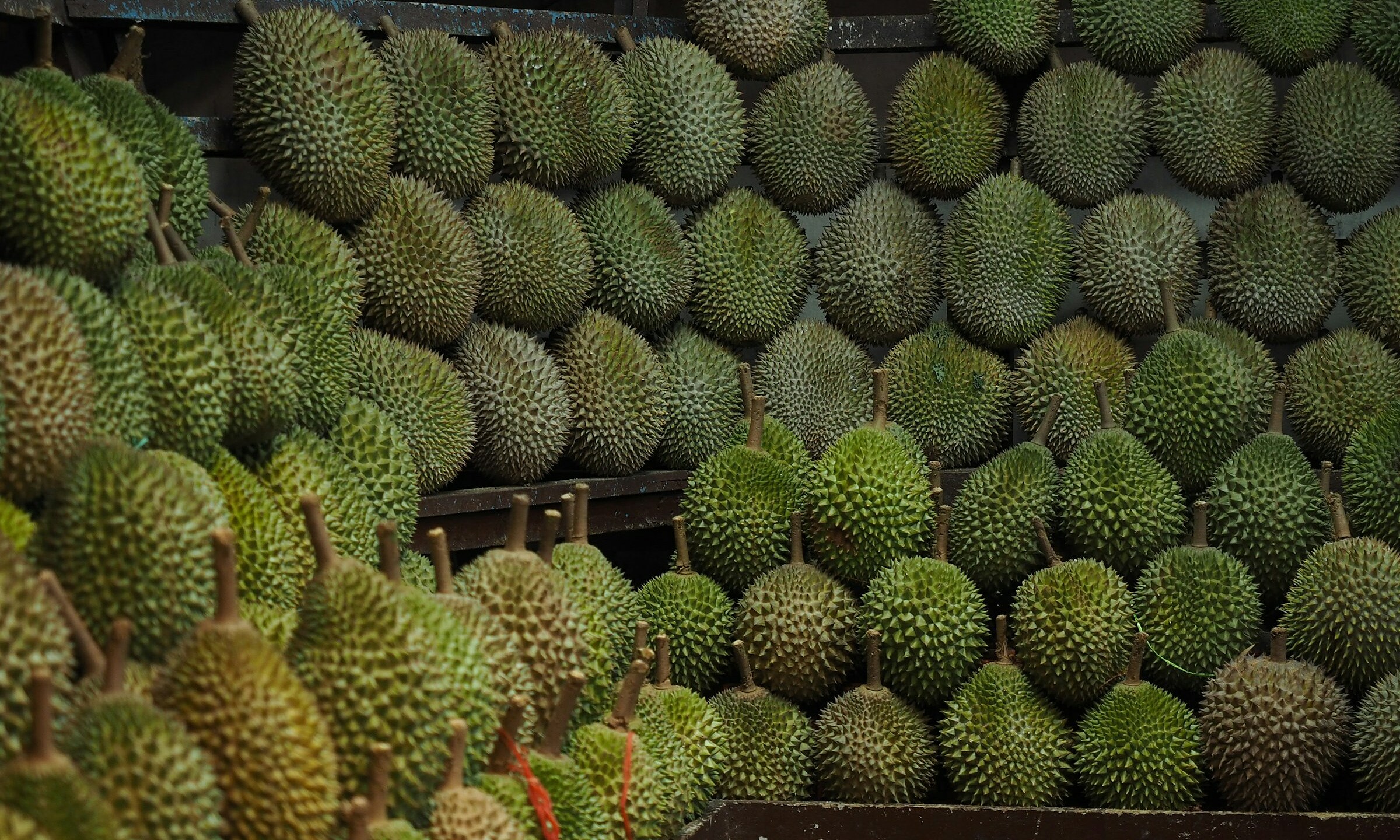 Singapore man calls police after stall refuses to refund $3.9 durian