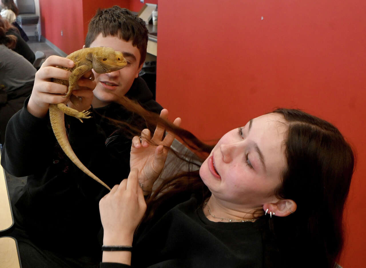 Meriden Public Library lets teens get up close and personal with ...