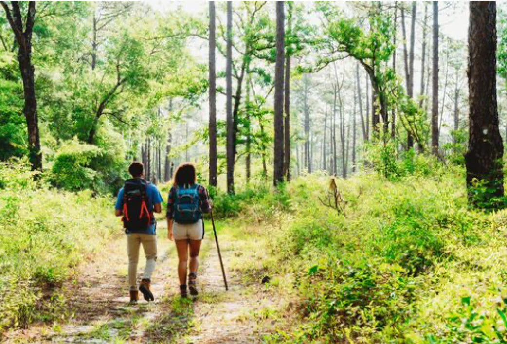 Local state parks offer First Day Hikes to start 2026 on the right foot