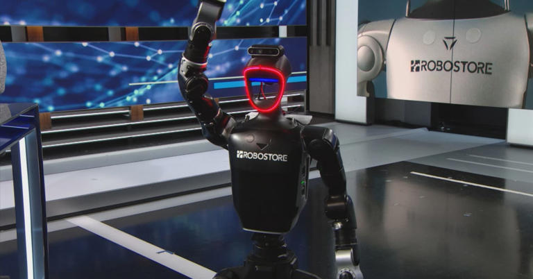 We asked a humanoid robot if there is an AI bubble. Here's what it said