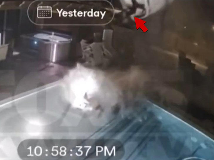 Airborne car crashes into yard, driver plunges into pool, on video