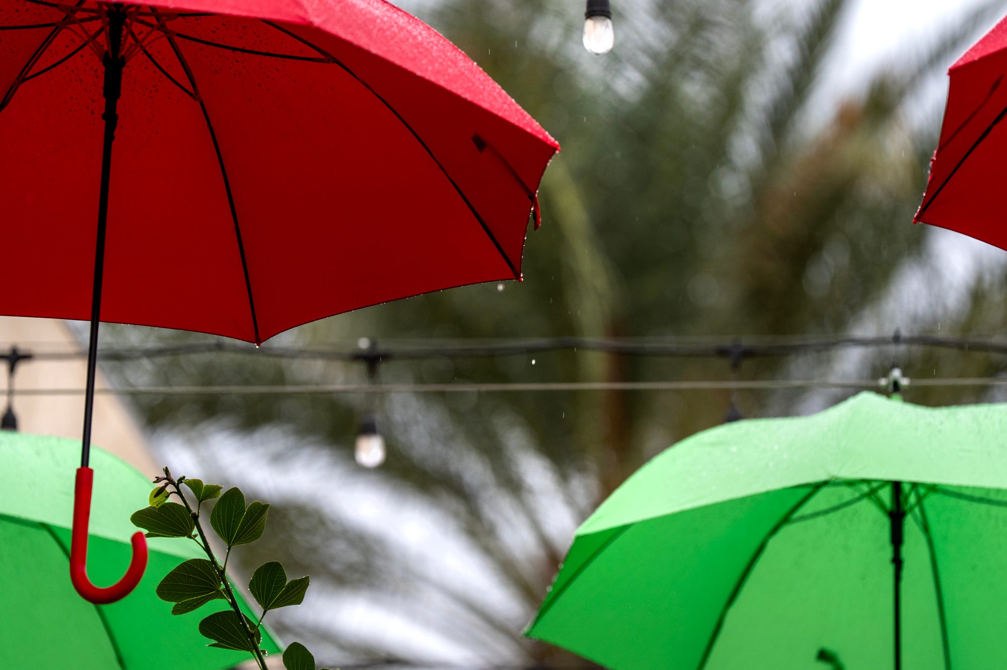 What California New Year’s Day weather means for luck — things to avoid