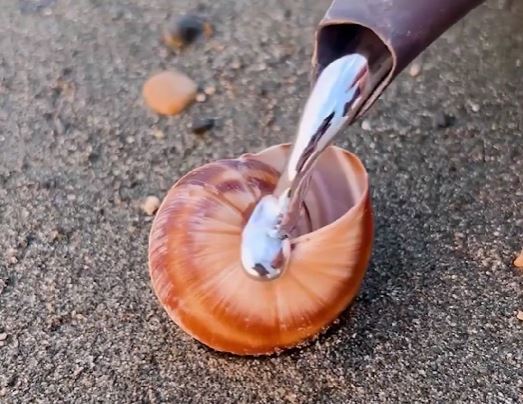 From beach finds to creative crafts: Unleashing nature's treasures