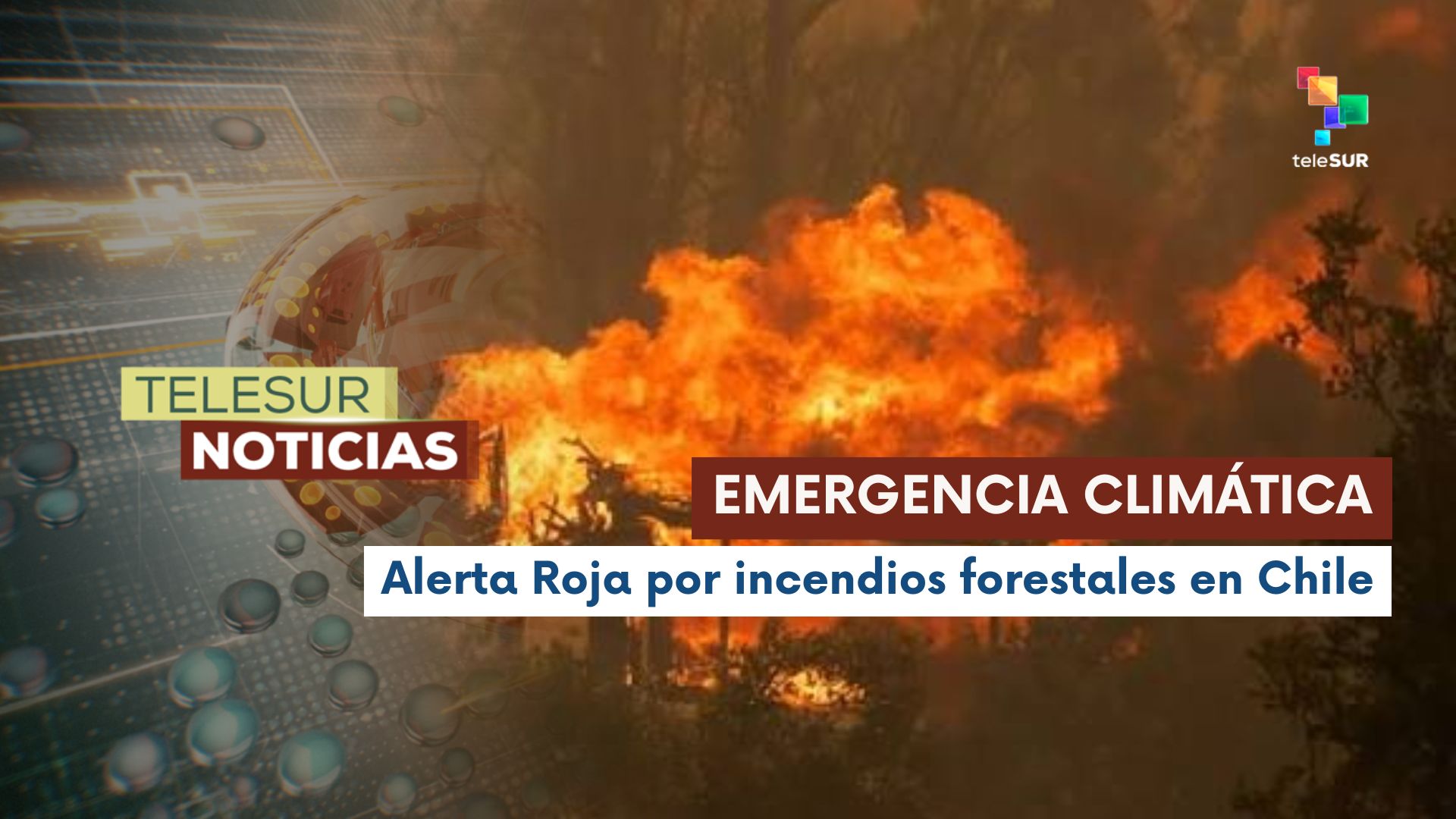 Incendios forestales devastan varias viviendas en Chile